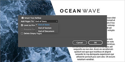 Poster design software | Adobe InDesign