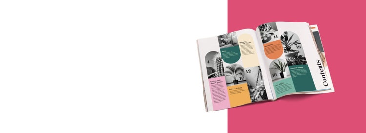 Layout design and desktop publishing software | Adobe InDesign