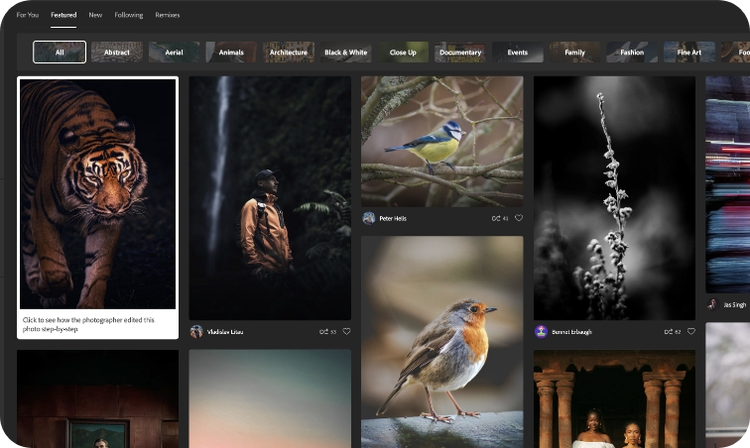 Explore New Lightroom Features - Adobe