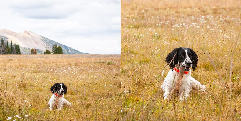 Super Resolution - Boost image quality to the max - Adobe