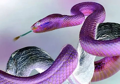 How to fade an image in Photoshop - Adobe