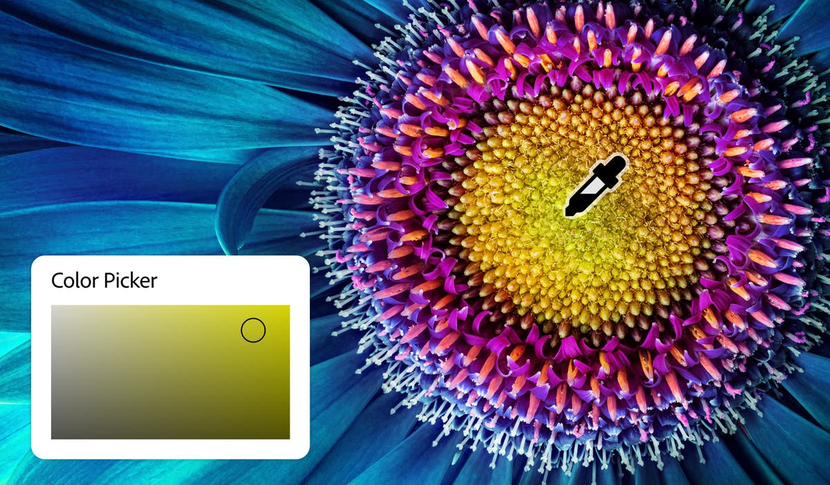 Färgväljare: CMYK-, RGB-, HEX-färgväljare från bild | Adobe Photoshop