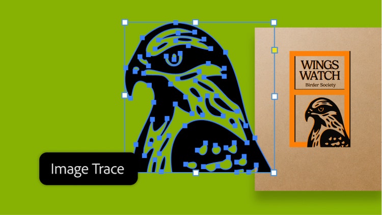 how to draw an eagle in illustrator