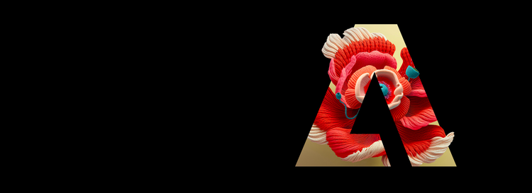 adobe creative cloud schools