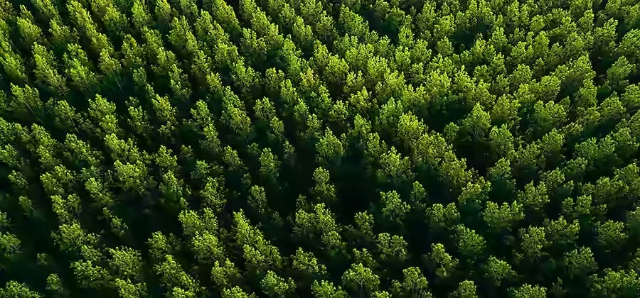 What Does Resolution Mean? Image Resolution Guide | Adobe