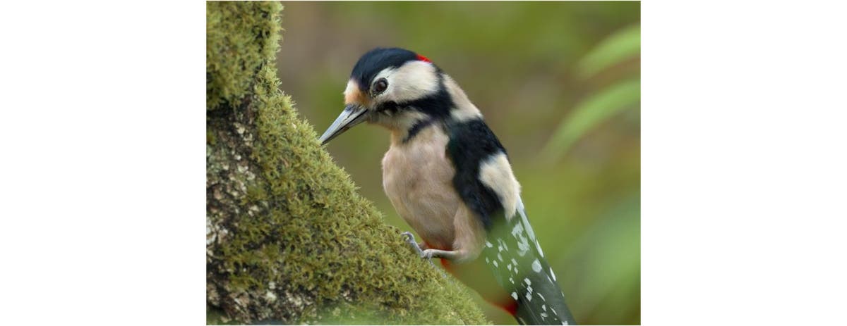 What is a Polygon in 3D Modelling? | Adobe Substance 3D