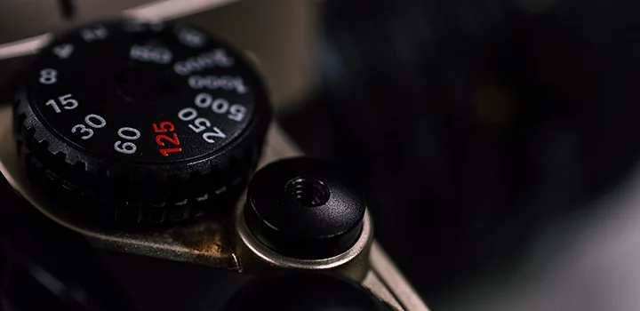 Forest photography: A beginner's guide - Adobe